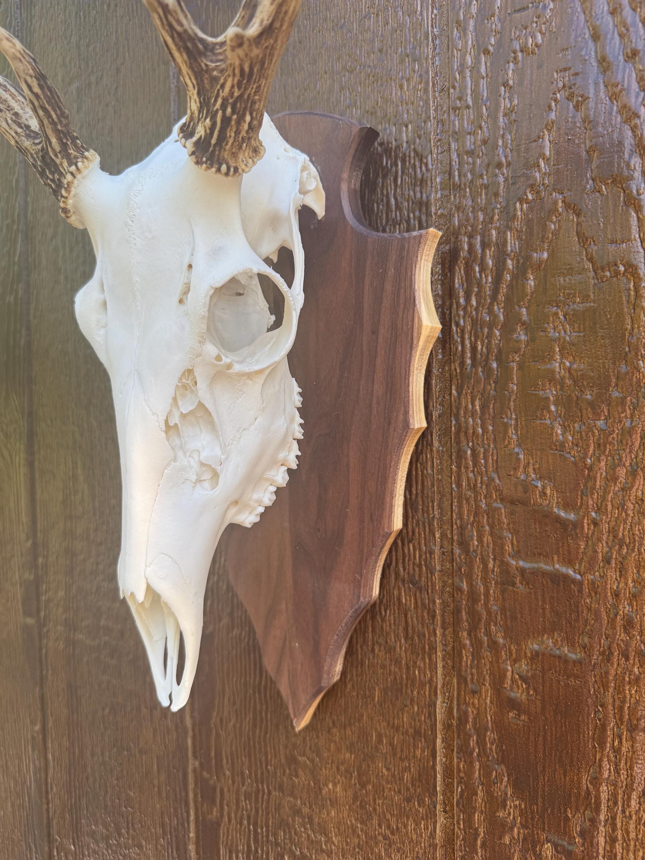 Arrowhead Deer European Face Plate - Etsy
