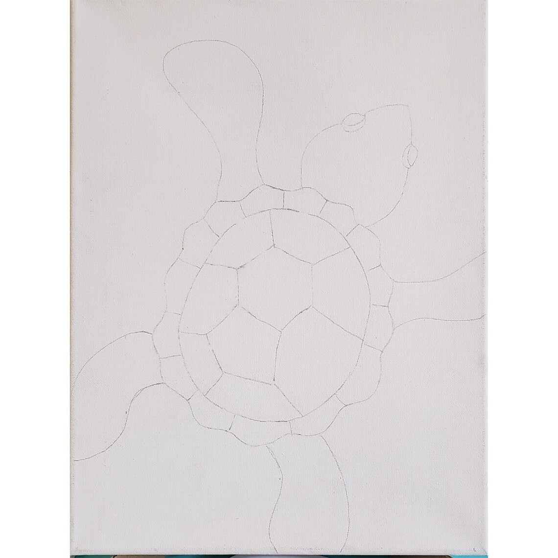 Art Kit - Sea Turtle - Etsy