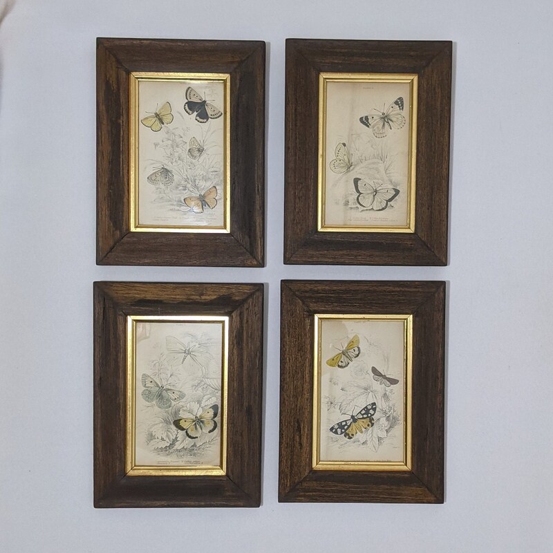 Butterfly Lithograph - Etsy