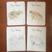 Frog & Toad Pack | Printable Life Cycle Posters | Watercolor Flash ...