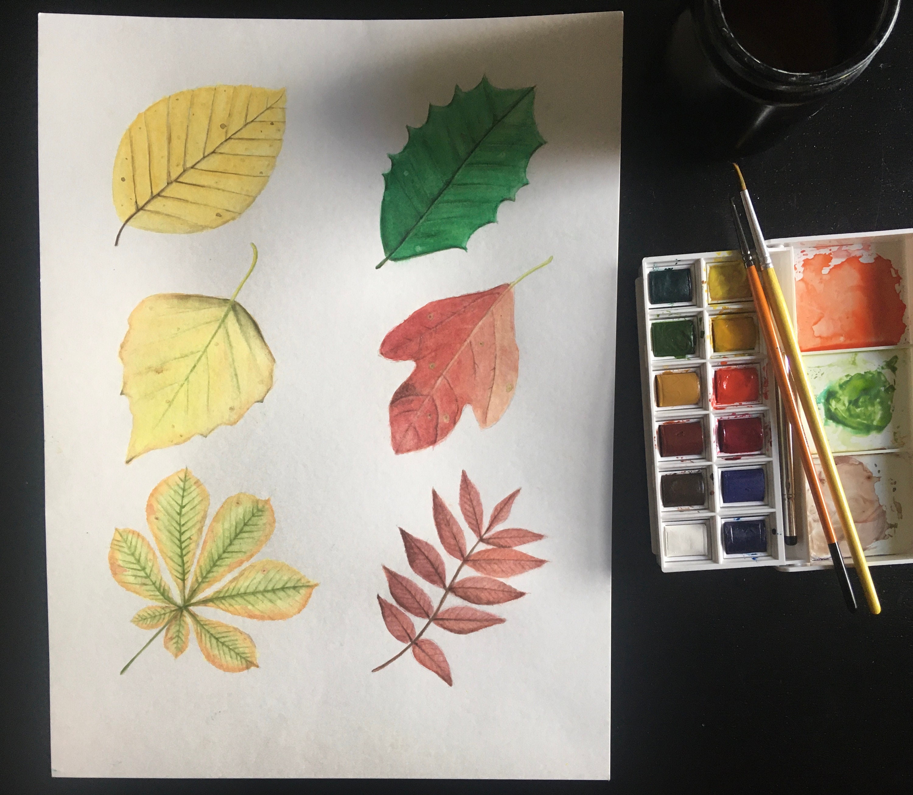 Autumn Leaves Identification Cards | Printable Portable Leaf ...