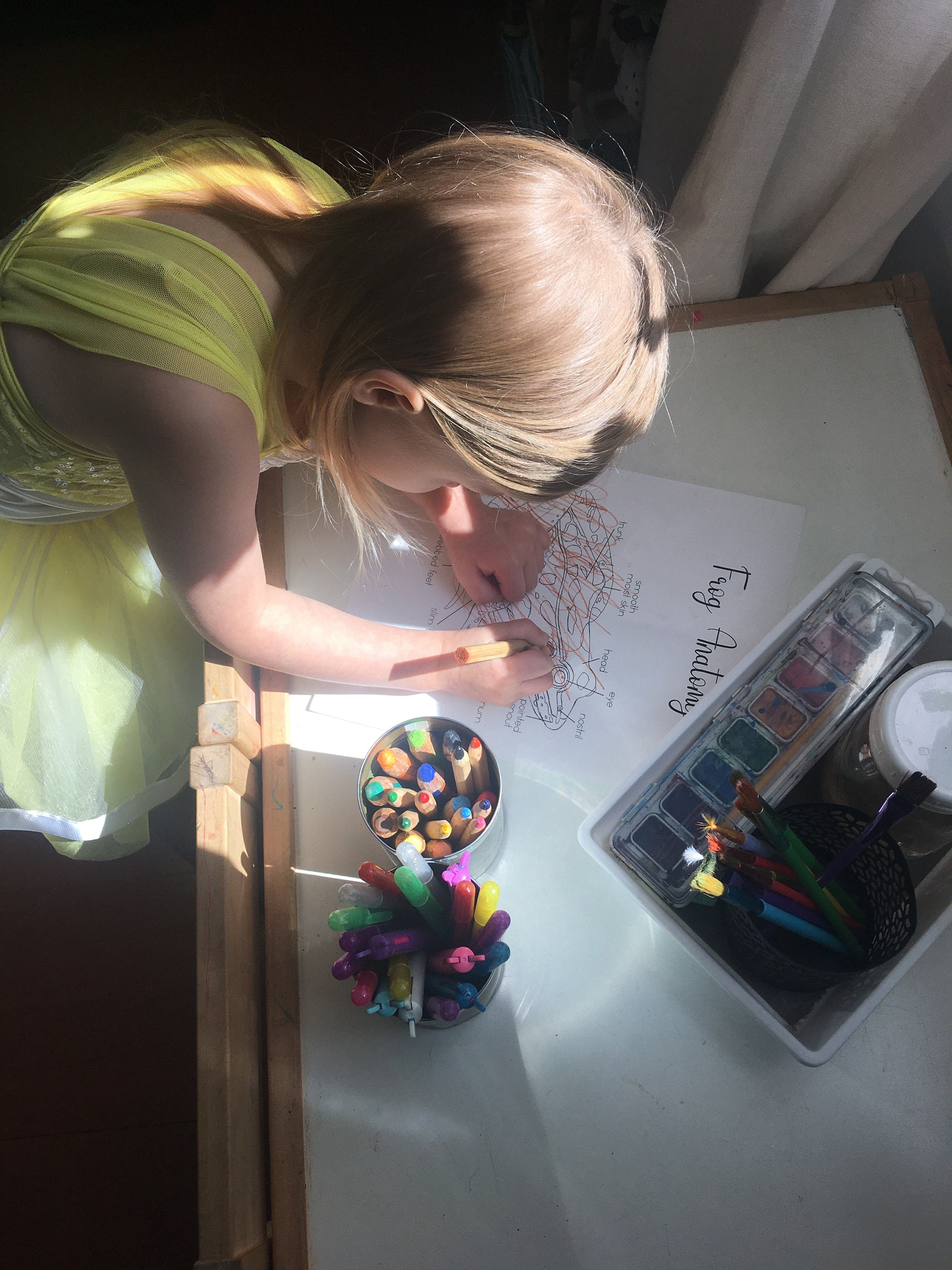 Frog & Toad Anatomy Posters | Coloring Printables | Charlotte Mason ...