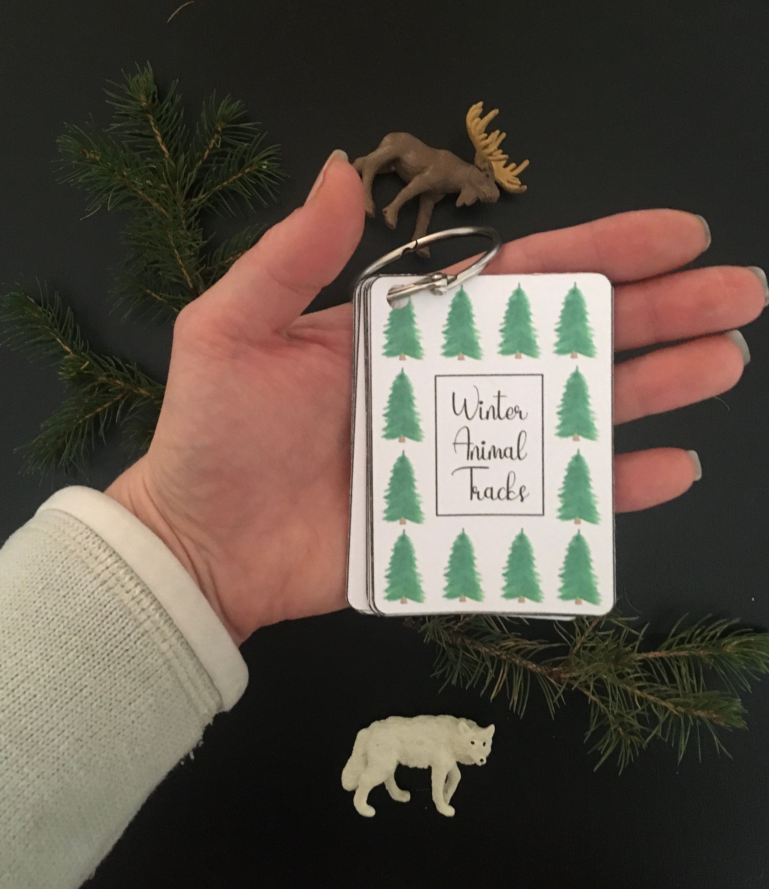 Winter Animal Tracks Identification Cards | Printable Portable Track ...