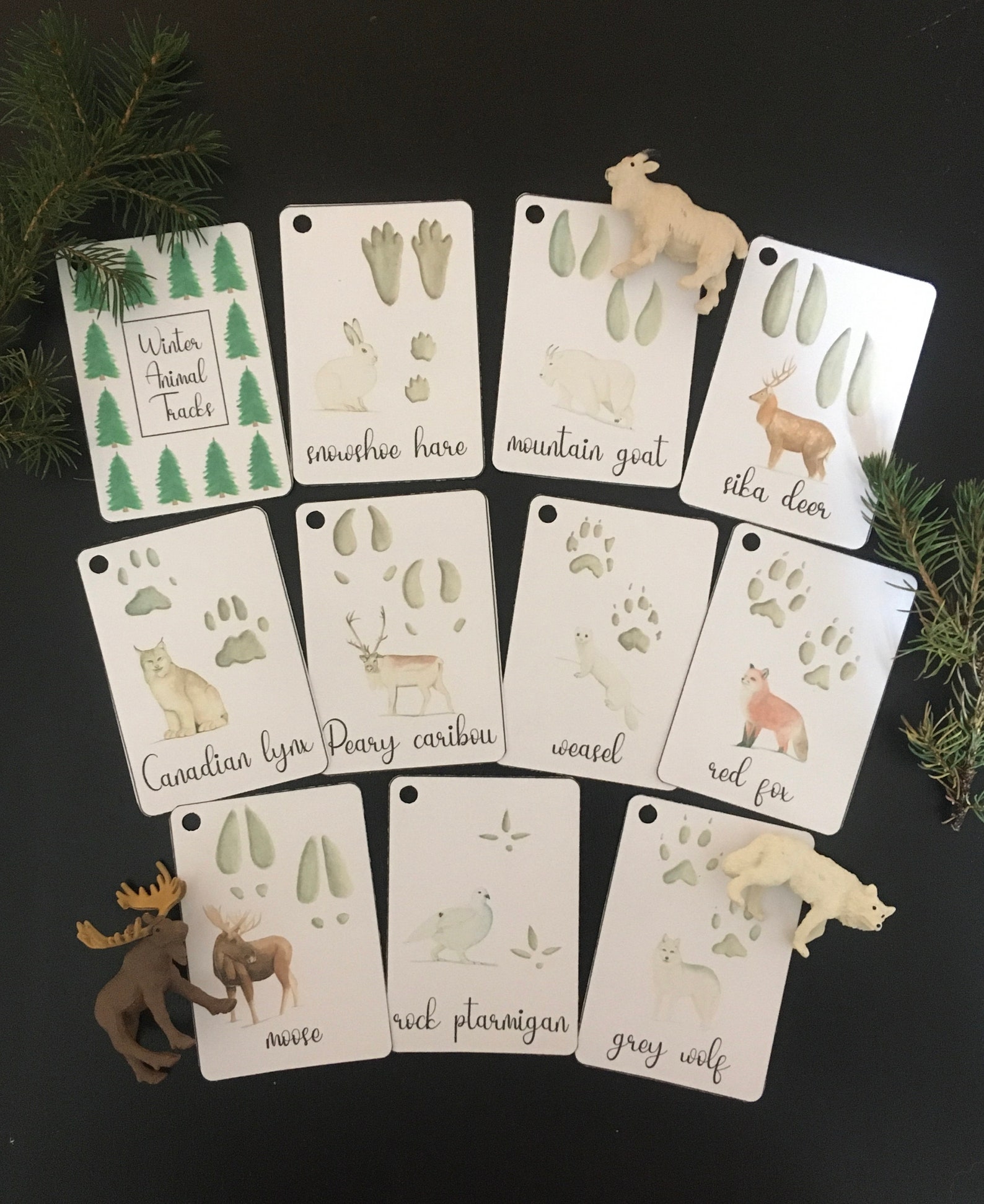 Winter Animal Tracks Identification Cards | Printable Portable Track ...