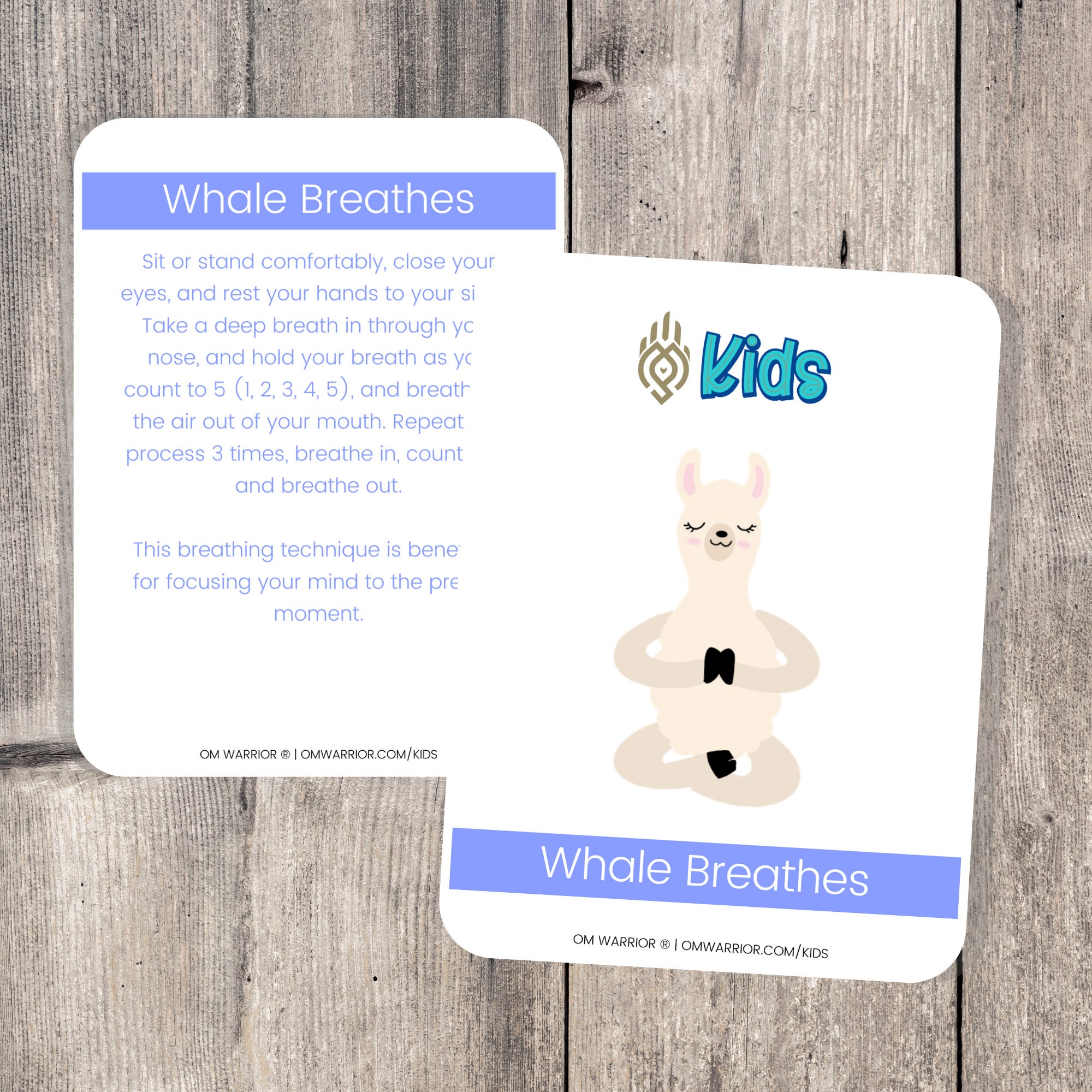 Calming Yoga Cards for Kids Fun and Safe Yoga Poses for - Etsy