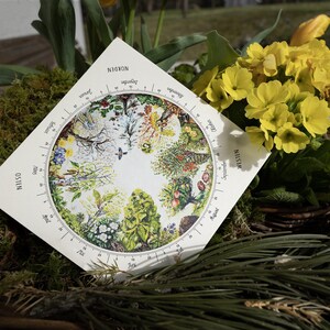 Tree Calendar, Four Seasons Watercolor Painting Inspired by Nature ...