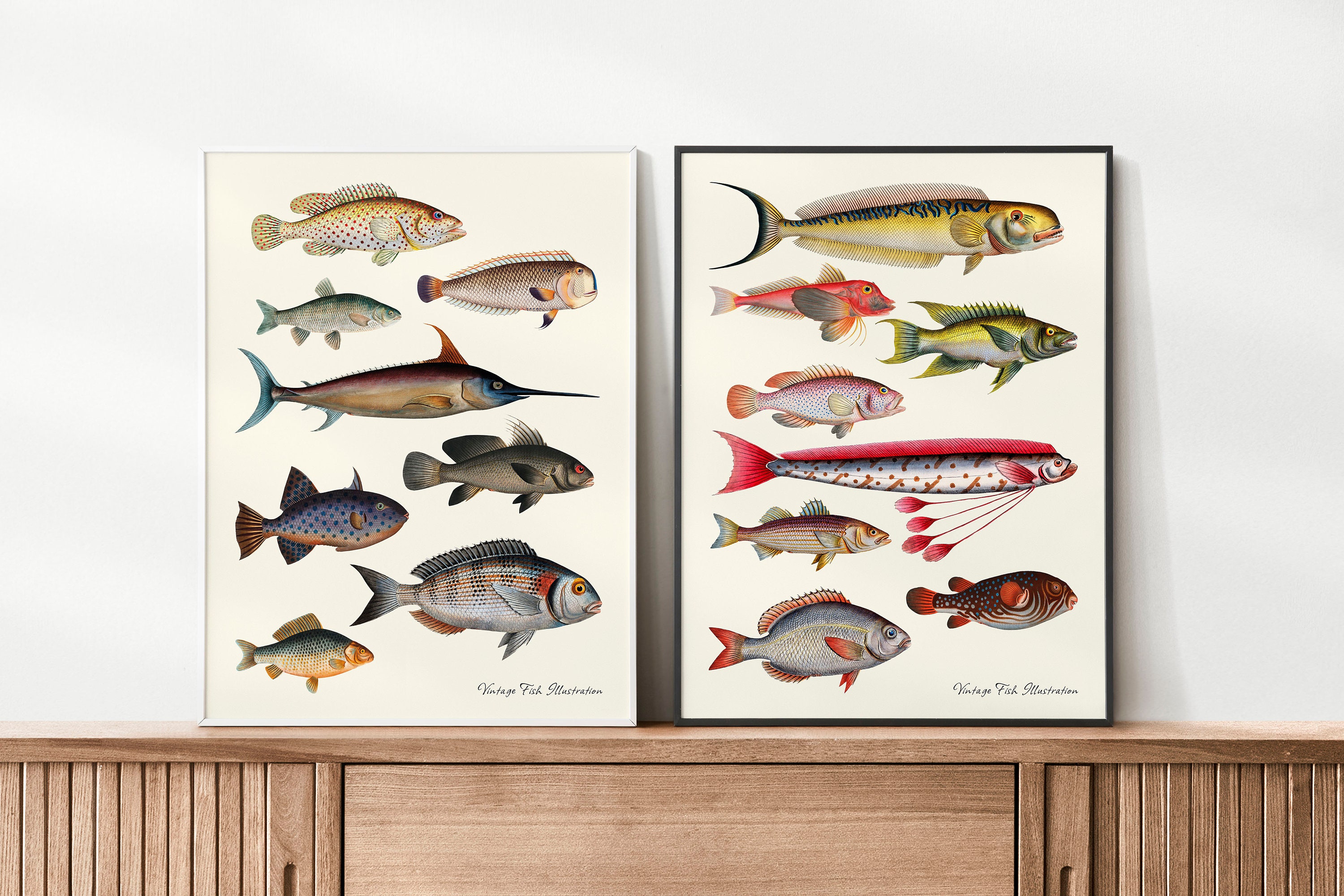 Instant Download Printable Vintage Fish Illustration, for Kitchen ...