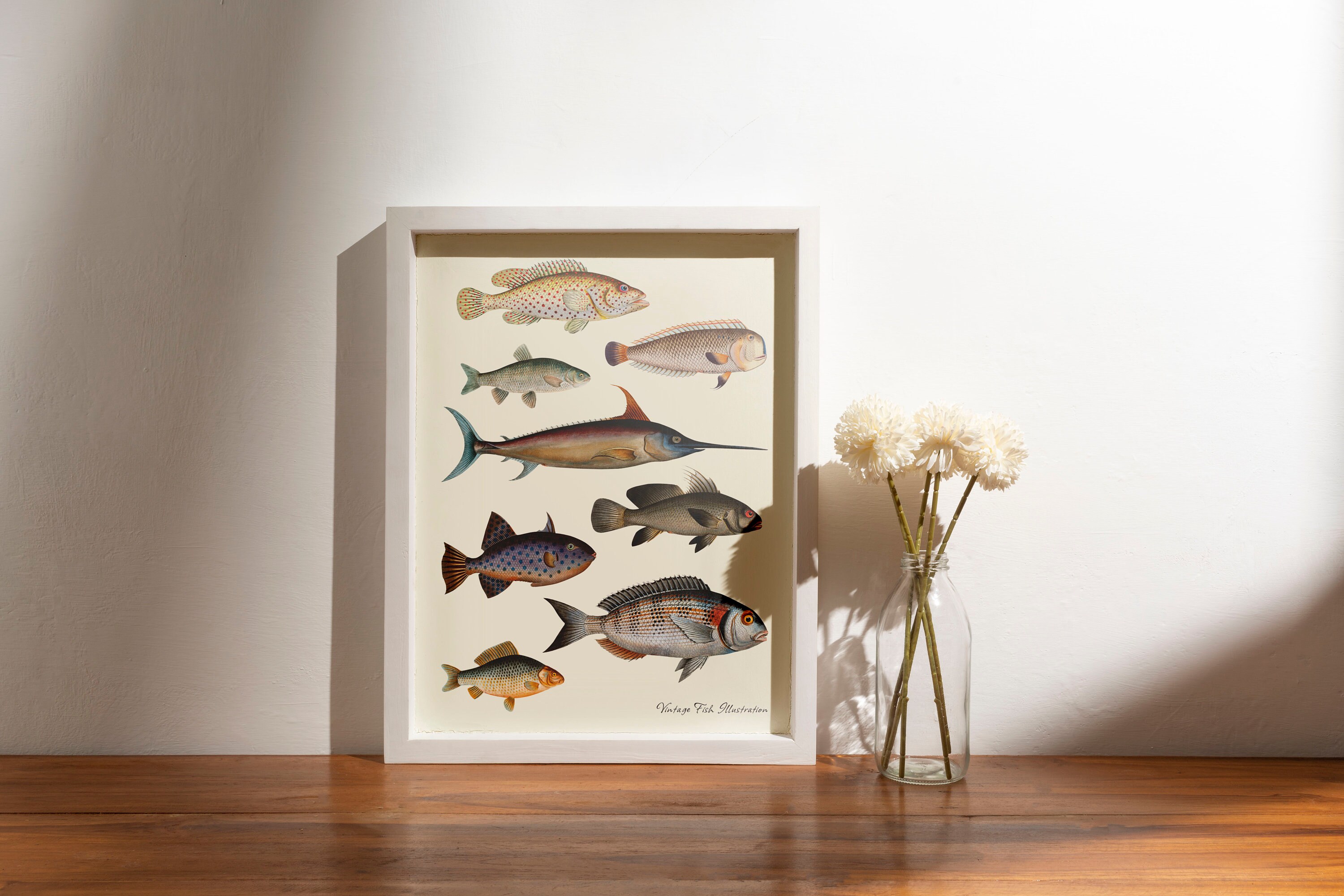 Instant Download Printable Vintage Fish Illustration, for Kitchen ...