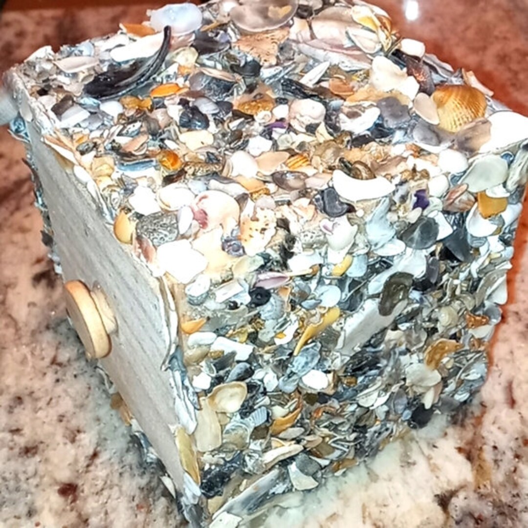 Seashell Storage Box - Etsy