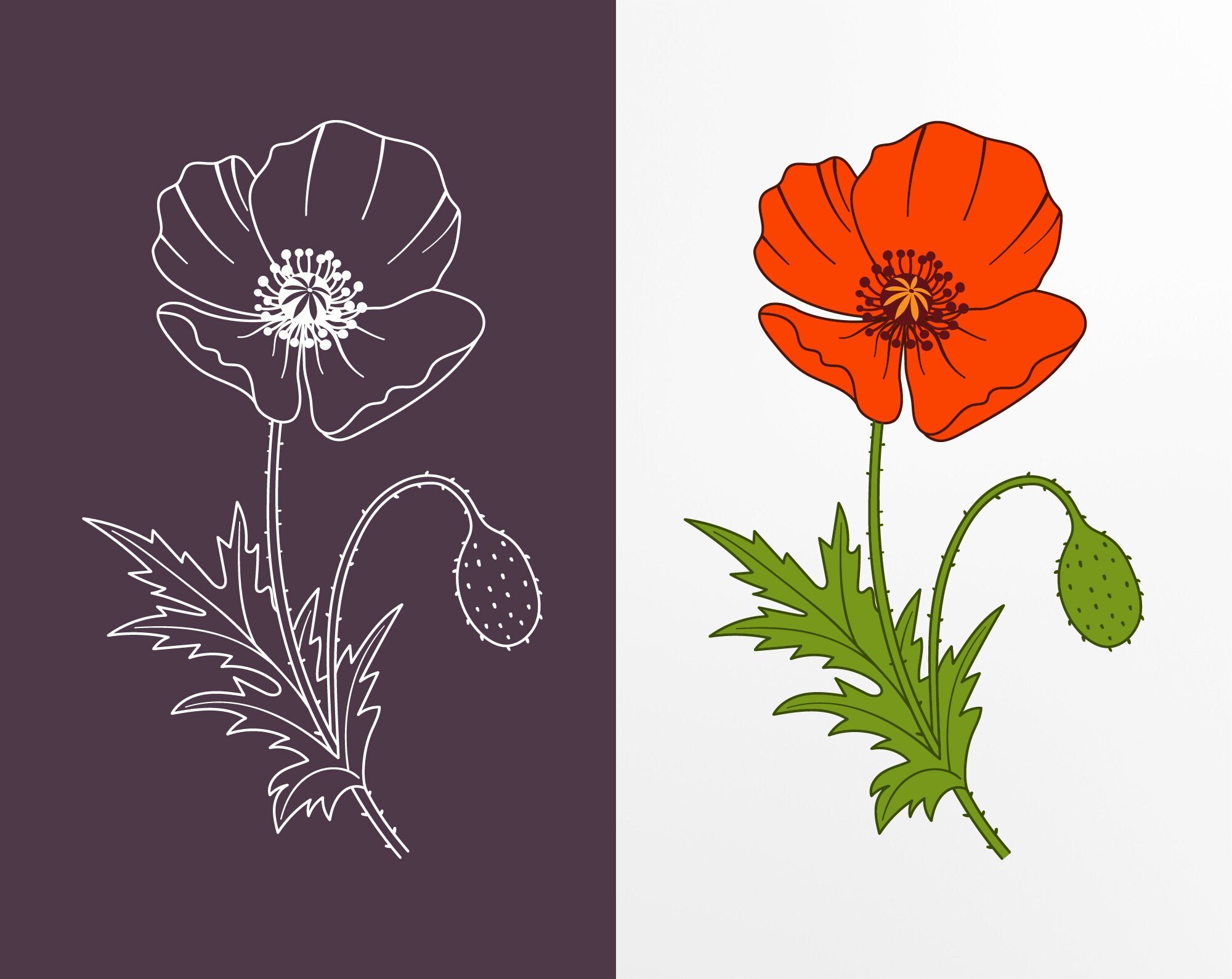 Poppy flower SVG files for Cricut Hand drawn poppies Floral | Etsy
