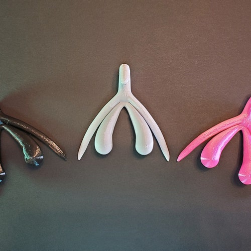 Clitoris Life Size Model Etsy Australia