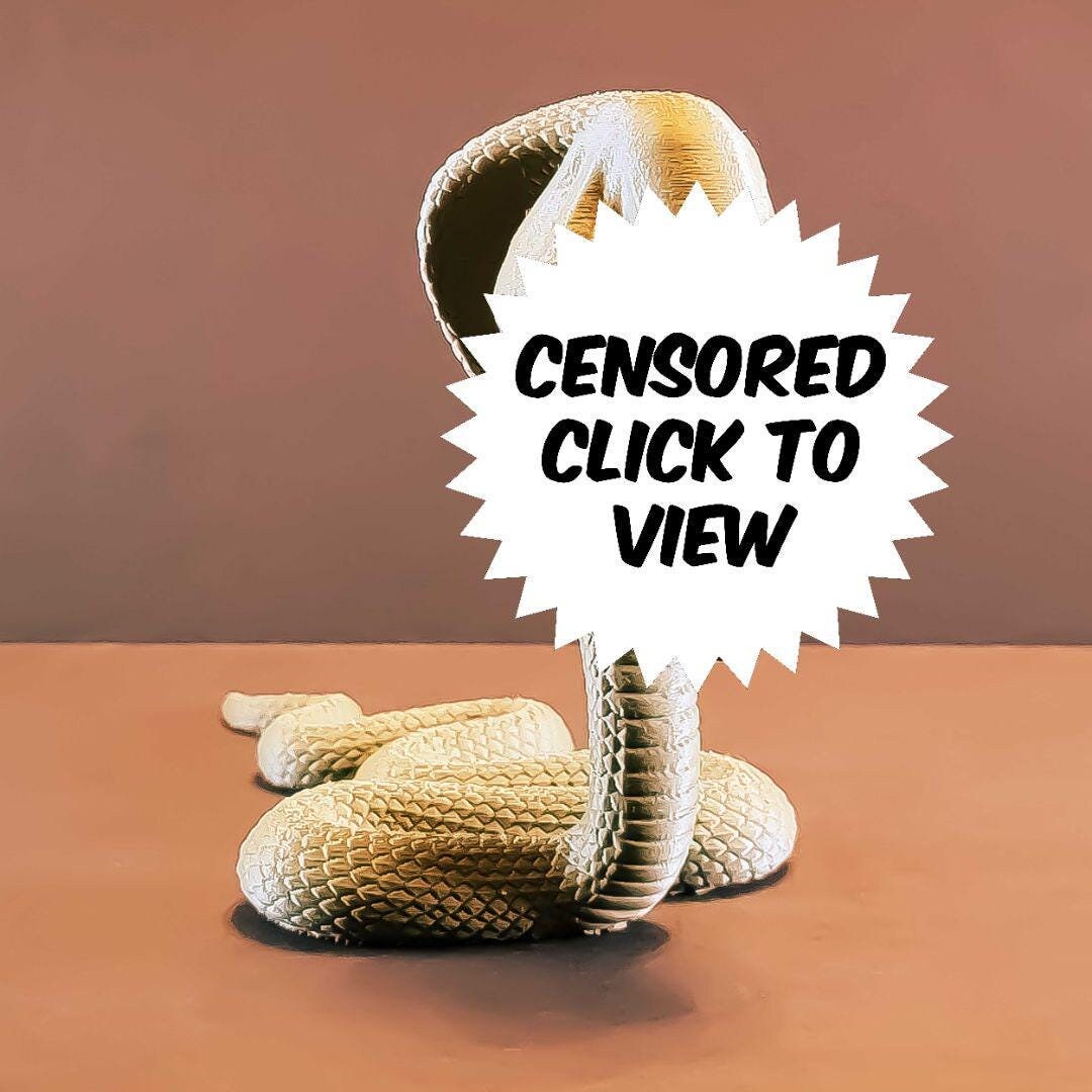 Cobra Snake Gag Gift | Bachelorette Bachelor Party Decor, Romance Art ...