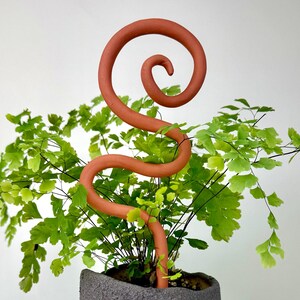 Small Plant Stake Squiggly Organic Terracotta Plant Trellis Plant ...