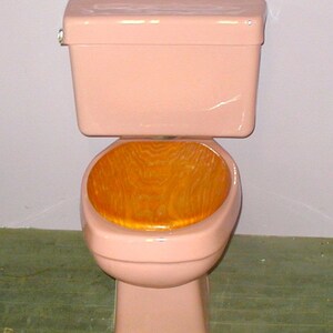 Bright Pink Rose Color Vintage Toilet by Eljer Bathroom With ...