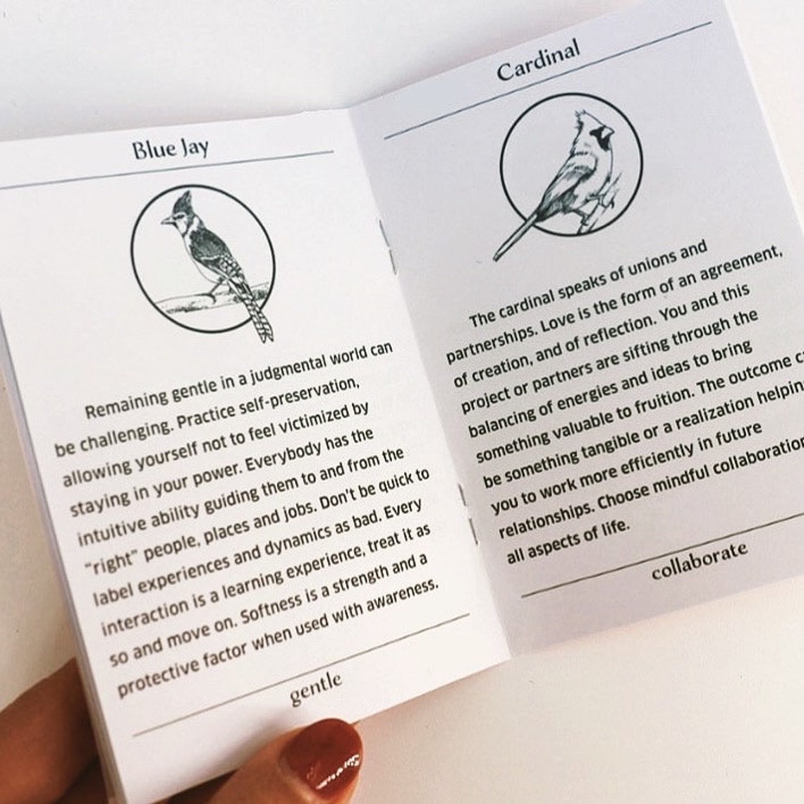 Bird Feather Oracle Card Deck 2nd Edition - Etsy