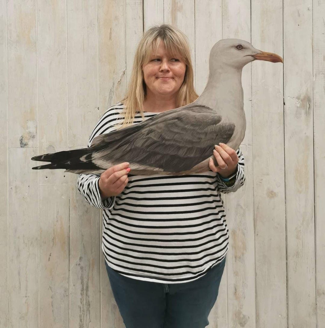 Giant 2D Seagull Prop no Legs - Etsy