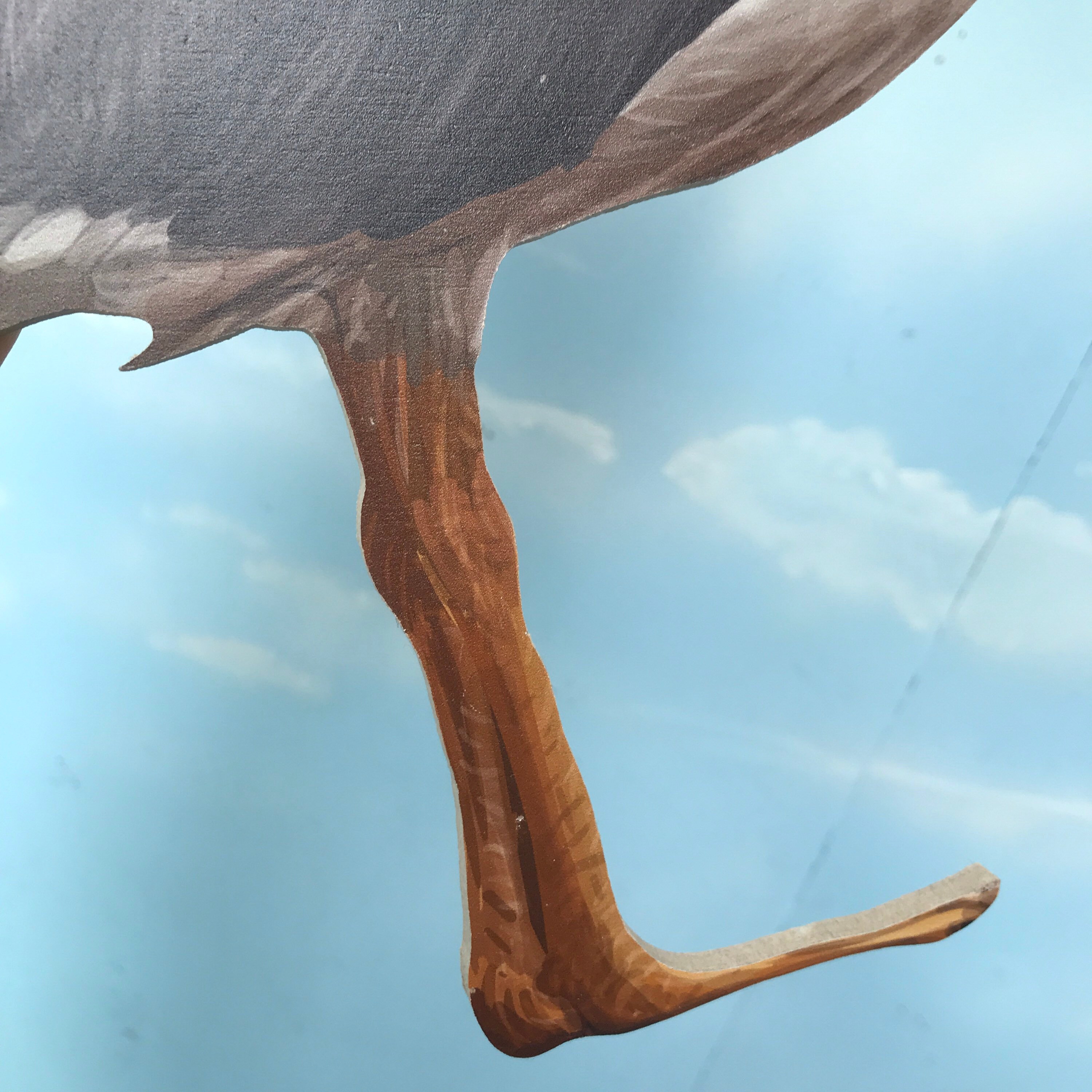 Giant Seagull Prop 2D Wooden MDF Retail Display Beach Cafe - Etsy UK