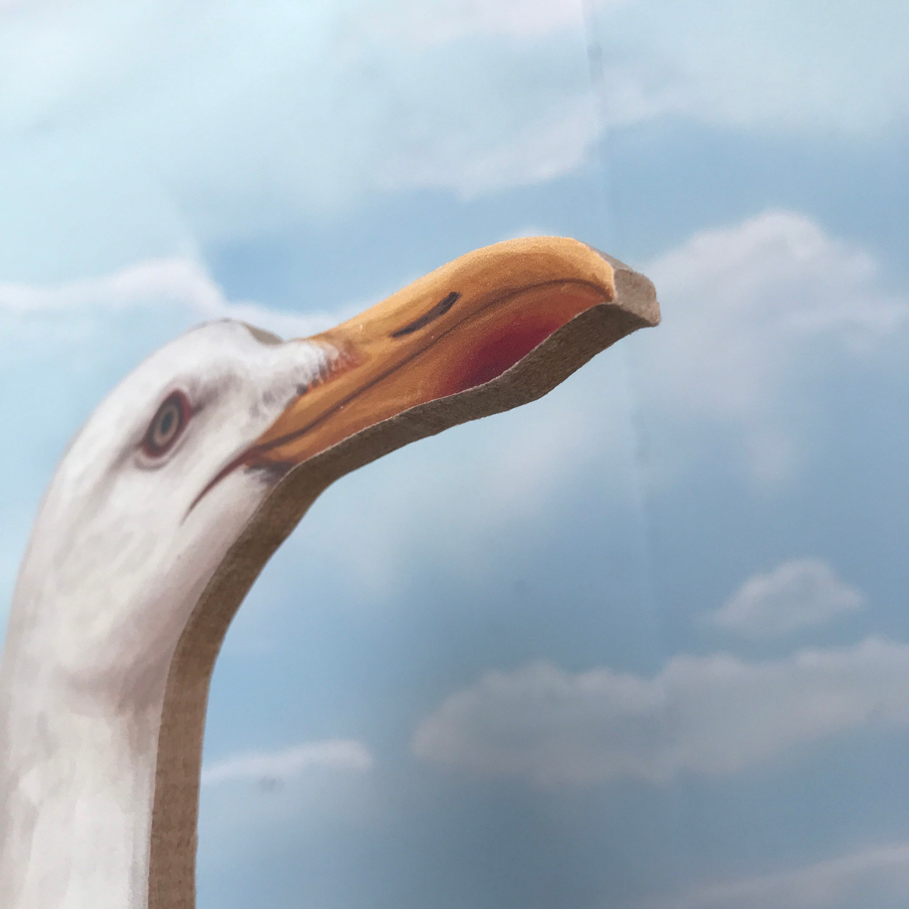 Giant Seagull Prop 2D Wooden MDF Retail Display Beach Cafe - Etsy UK