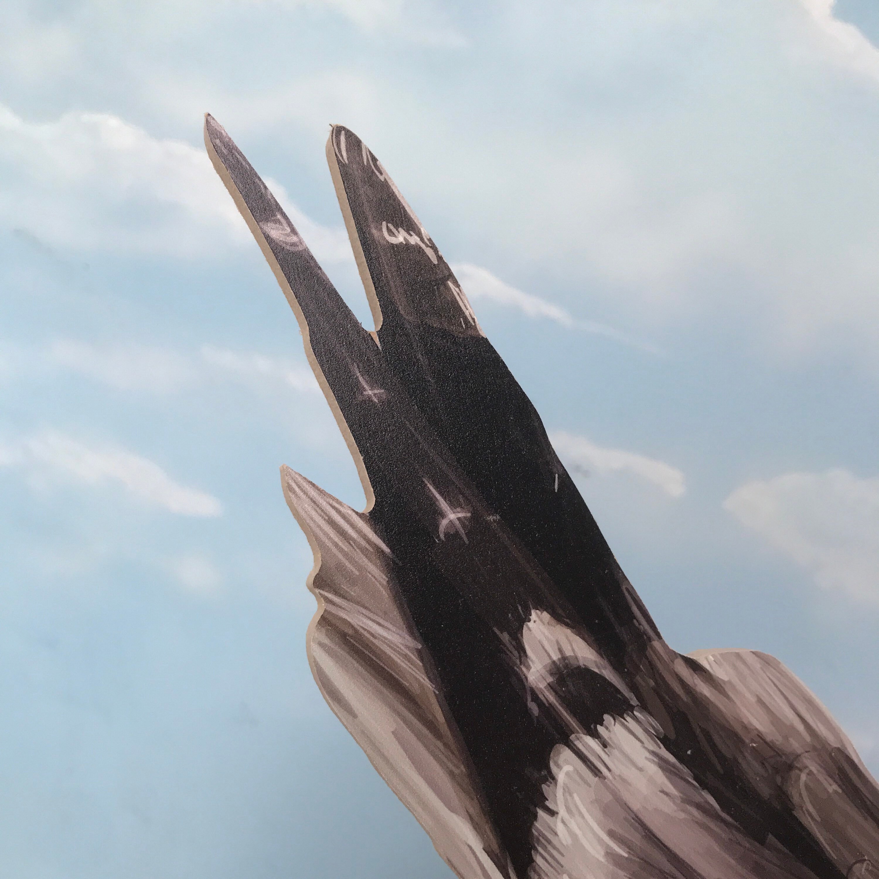 Giant Seagull Prop 2D Wooden MDF Retail Display Beach Cafe - Etsy UK