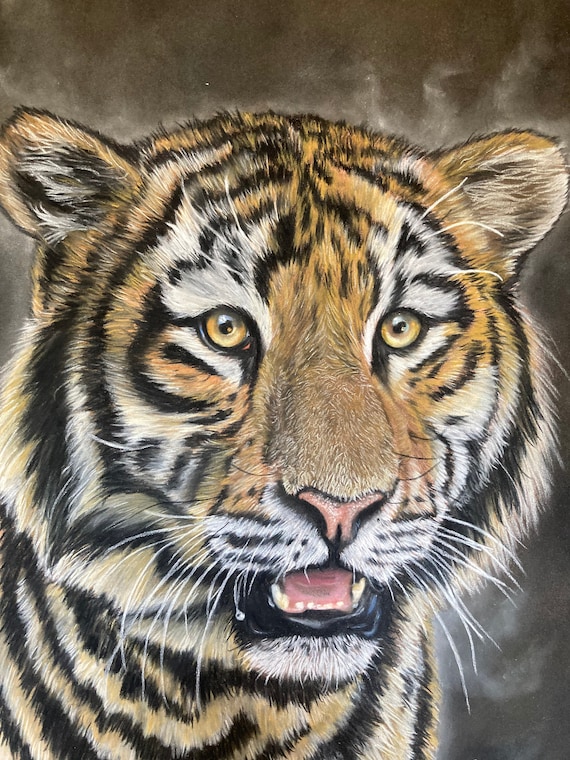 Realistic Drawings Of Tigers