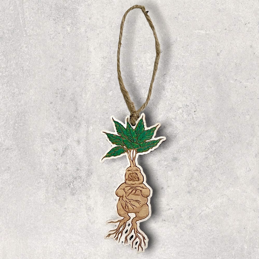 Wizard Plant Ornament - Etsy