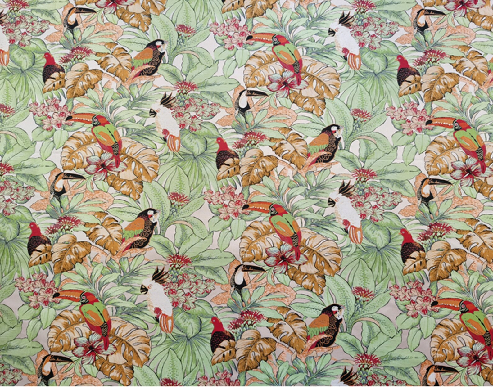 Jacquard Fabric Coat Fabric Parrot Pattern Parrot Fabric - Etsy