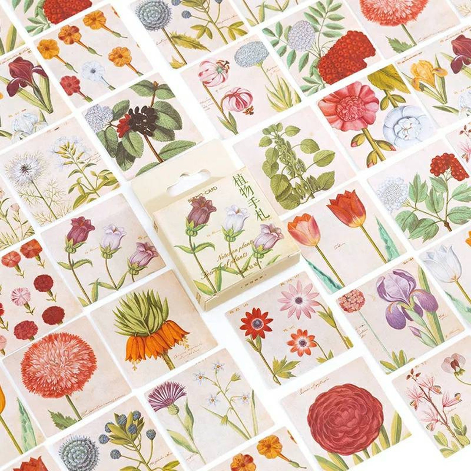 46pcs Botanical Stickers Pack Nature Plants Flowers - Etsy