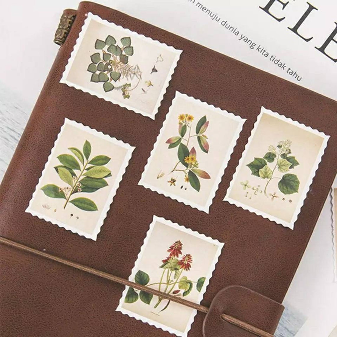 45pcs Vintage Plant Stickers Pack Nature Scrapbooking | Etsy