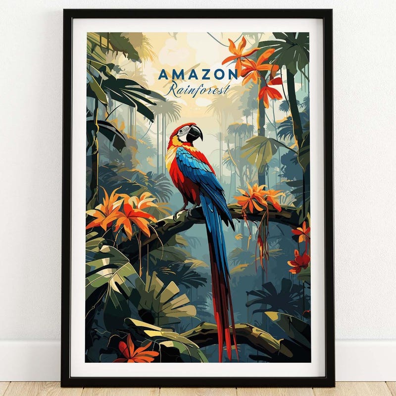 Rainforest Poster - Etsy UK