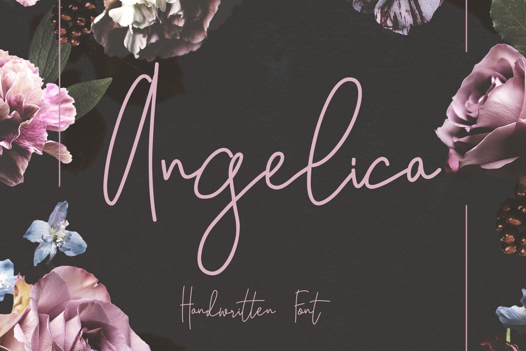 Angelica Font Digital font download Modern Calligraphy | Etsy