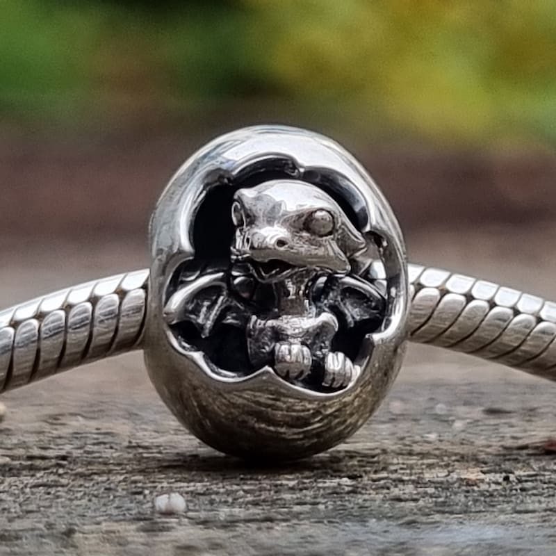 How to Train Your Dragon Pandora Charm - Etsy