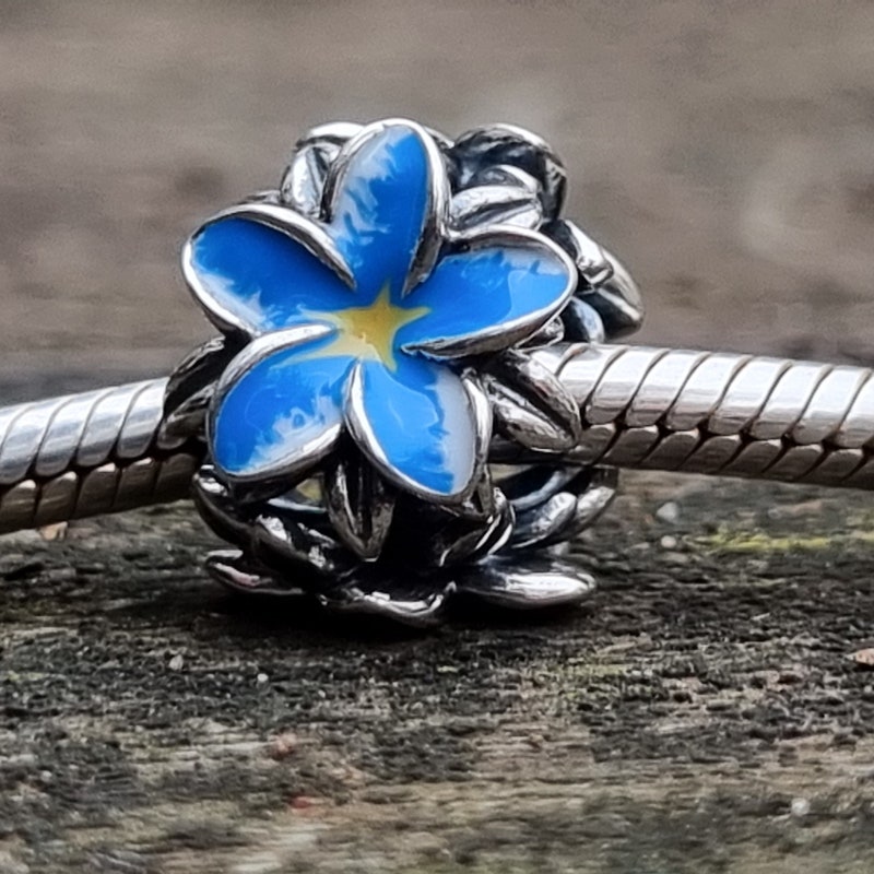 Pandora Blue Charms - Etsy
