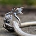 925 Sterling Silver Sailors Dream Mermaid Charm Fits Pandora - Etsy