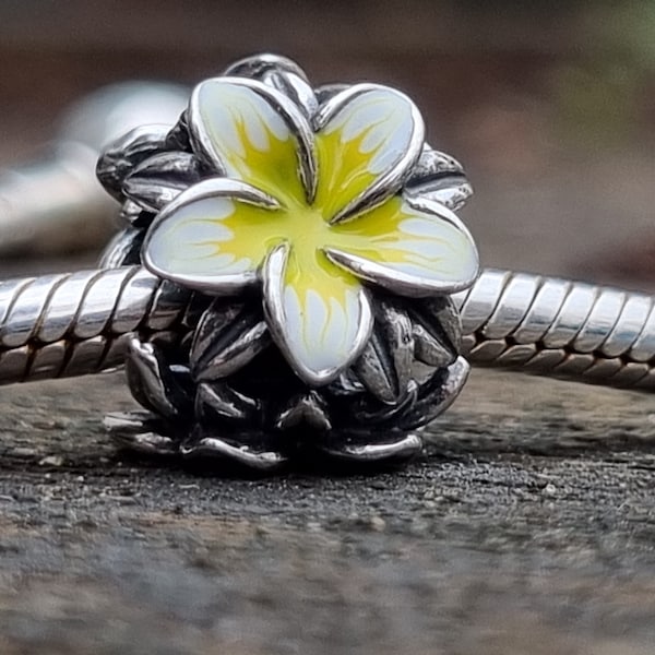 Aloha Pandora Charm - Etsy