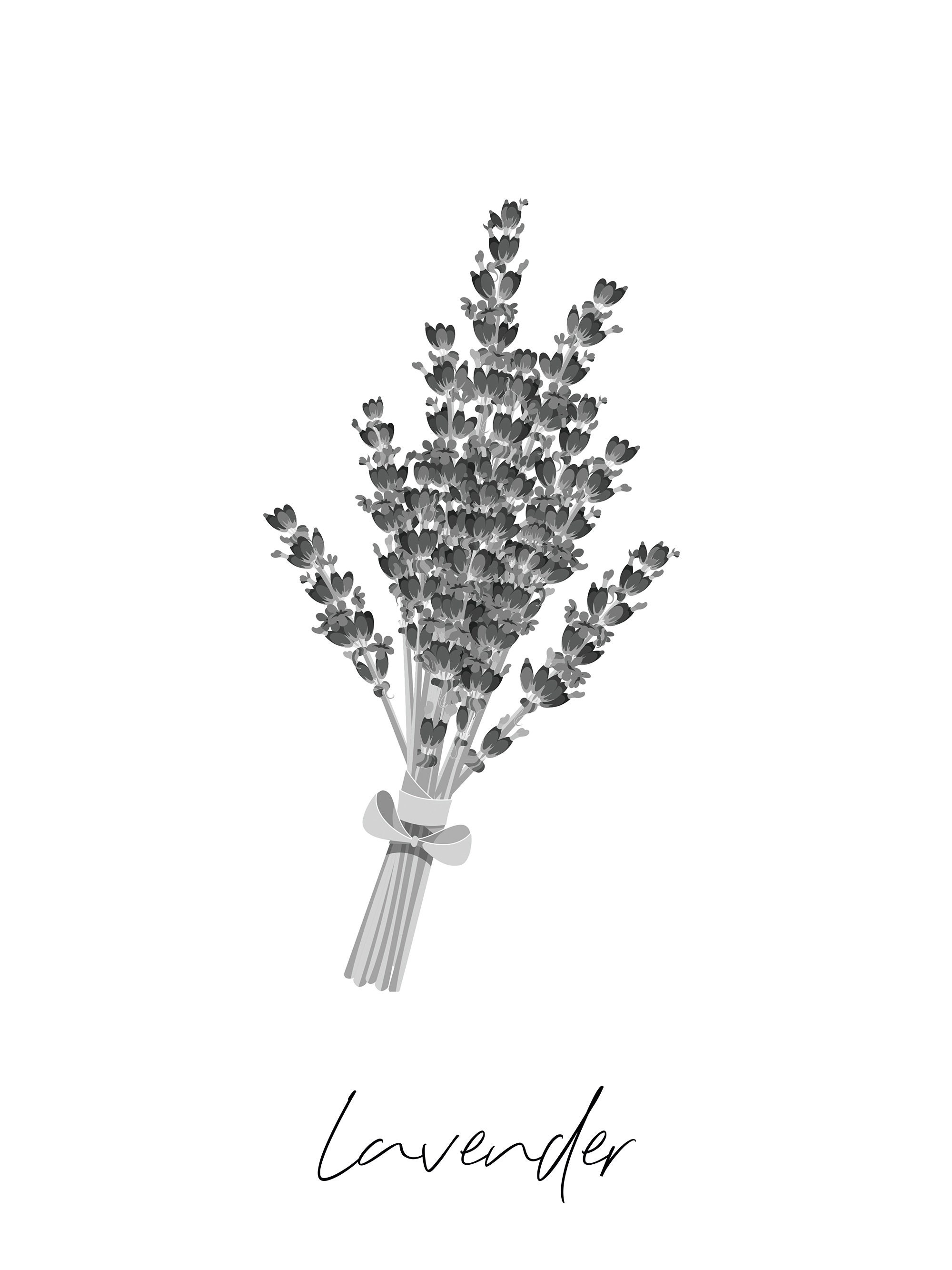 PNG Files. Set of 3 Lavender Printable Files - Etsy