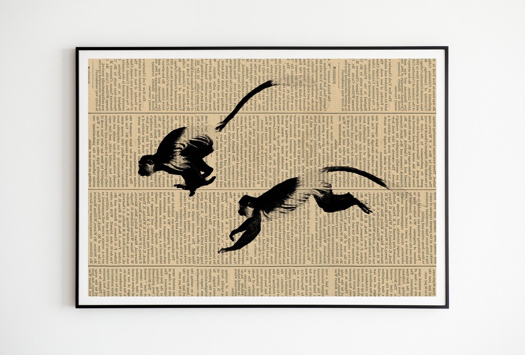 Digital Colobus Guereza Monkey Printable Retro Poster - Etsy