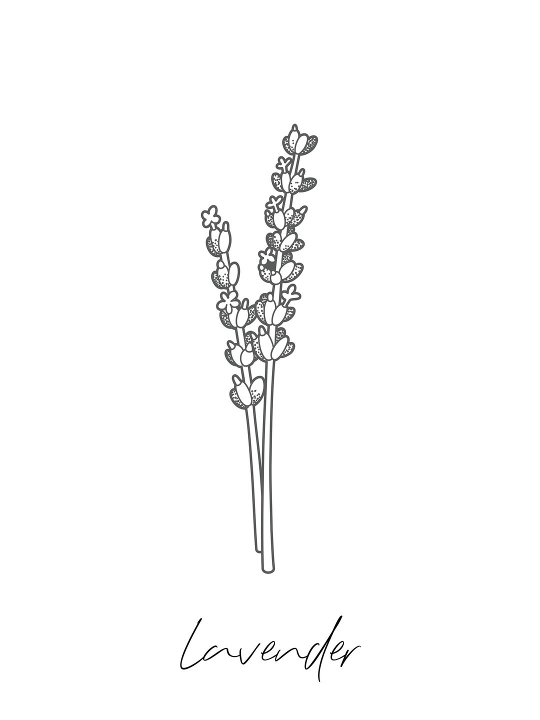 PNG Files. Set of 3 Lavender Printable Files - Etsy