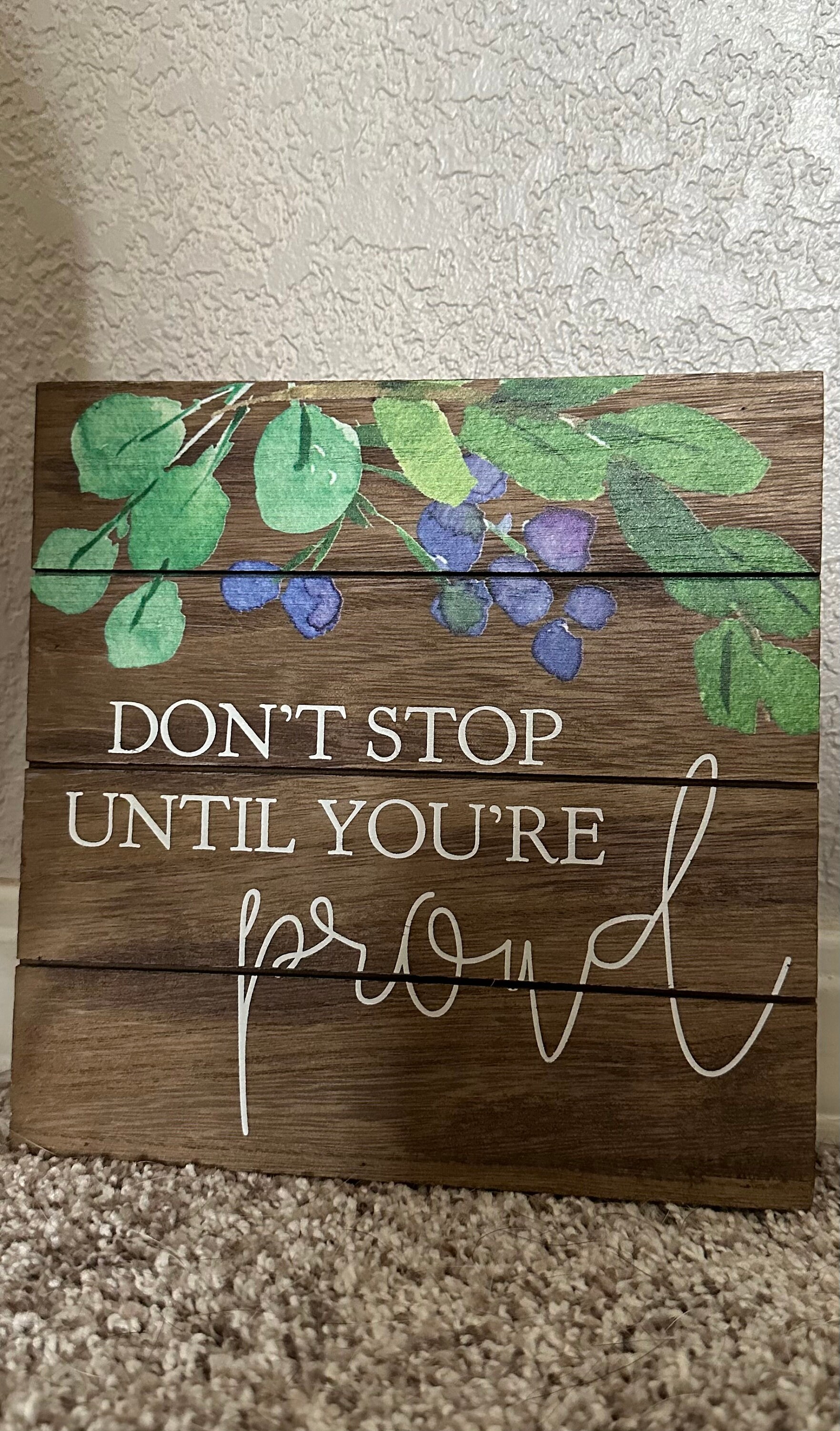 Don't Stop Until Your Proud Wooden Sign - Etsy