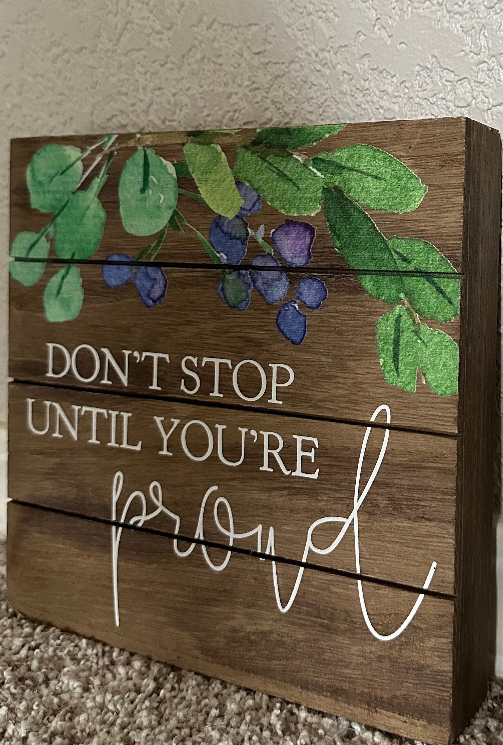 Don't Stop Until Your Proud Wooden Sign - Etsy