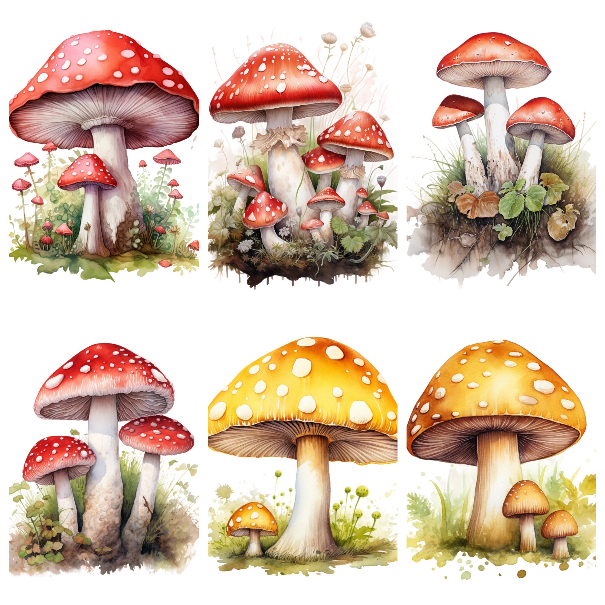 Watercolor Mushrooms Clipart - Cute Forest Nature Toadstool Clip Art ...