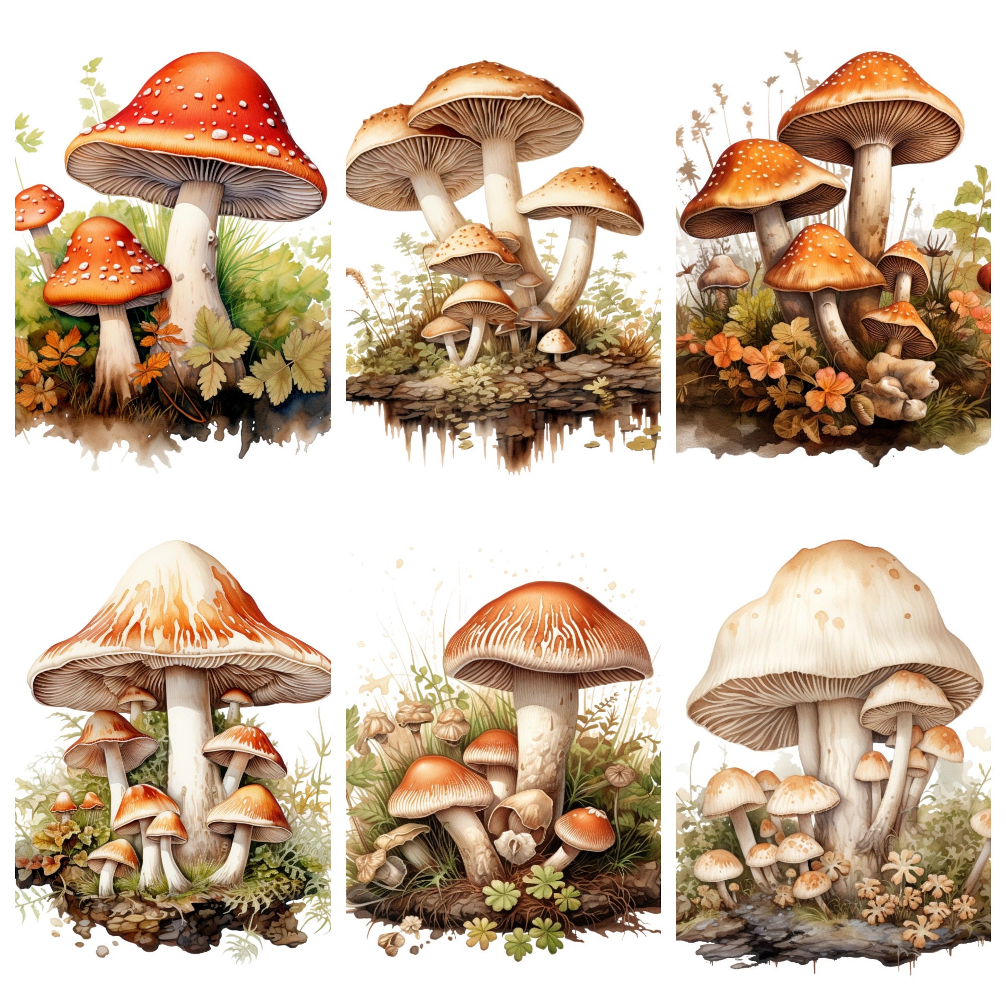Watercolor Mushrooms Clipart - Cute Forest Nature Toadstool Clip Art ...