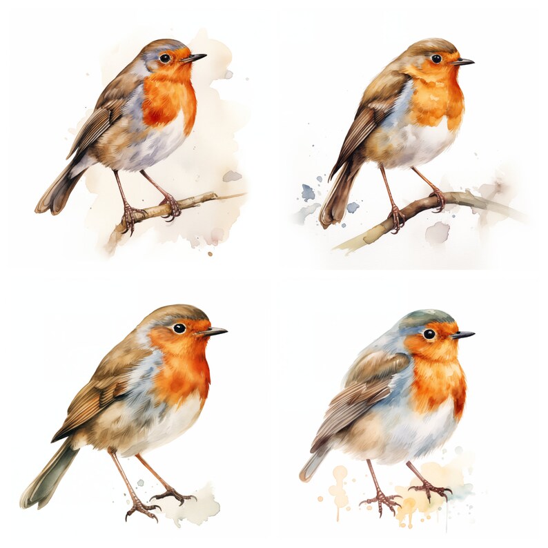 16 High Quality Robin Clipart Images - Digital Download for Card Making ...