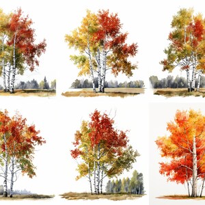 Autumn Birch Tree Clip Art Set: Fall Birch Tree Clipart, Vibrant ...
