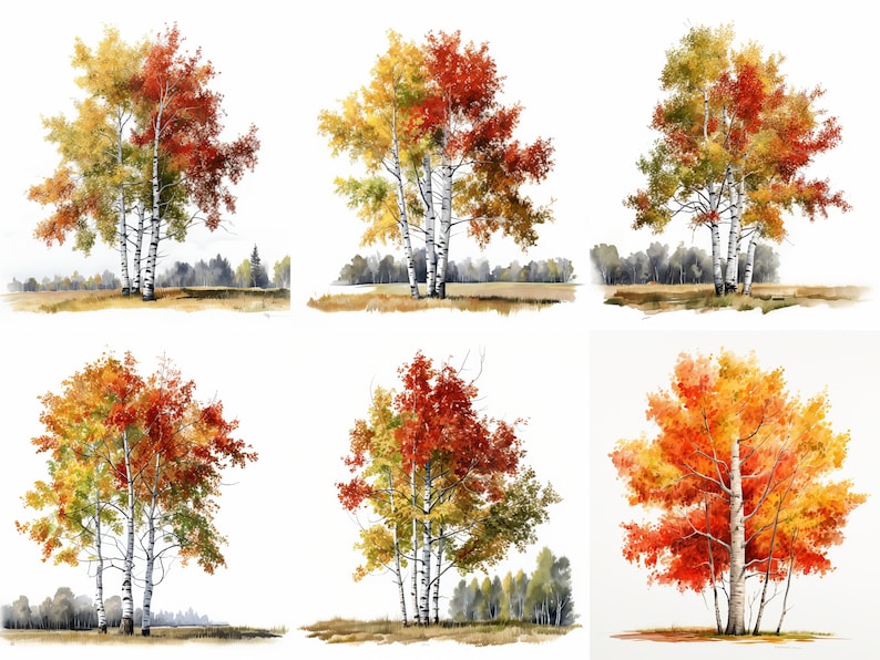 Autumn Birch Tree Clip Art Set: Fall Birch Tree Clipart, Vibrant ...