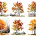 Autumn Birch Tree Clip Art Set: Fall Birch Tree Clipart, Vibrant ...