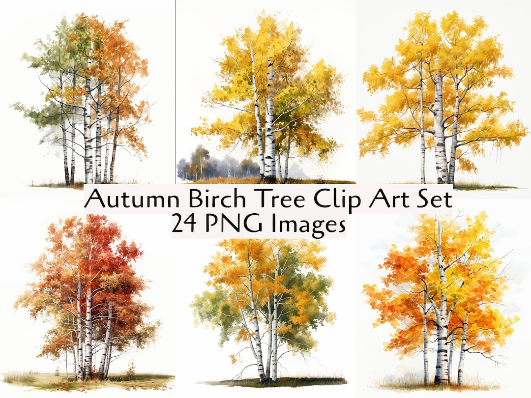 Autumn Birch Tree Clip Art Set: Fall Birch Tree Clipart, Vibrant ...