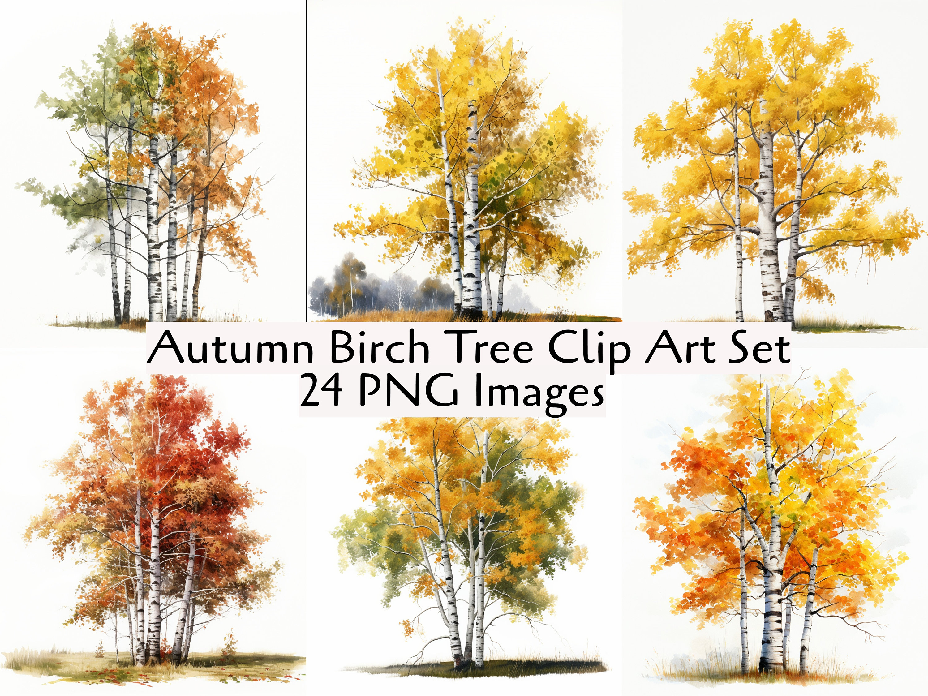 Autumn Birch Tree Clip Art Set: Fall Birch Tree Clipart, Vibrant ...