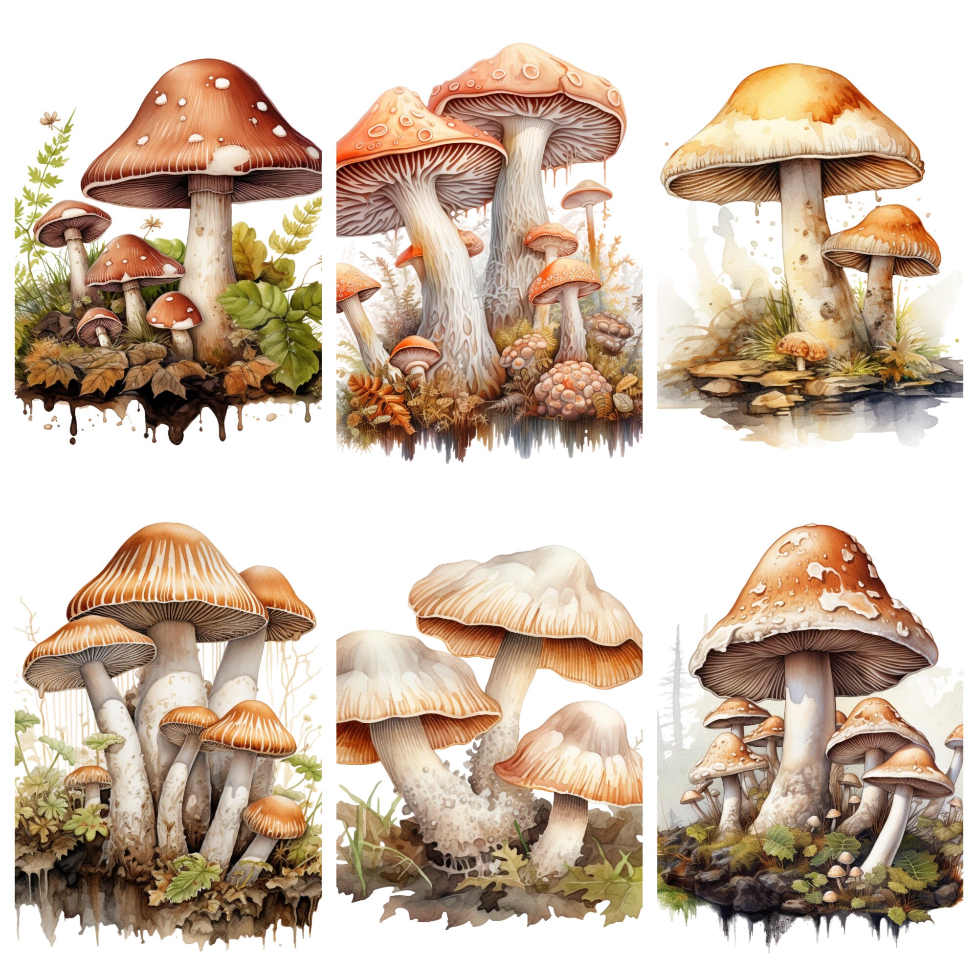Watercolor Mushrooms Clipart - Cute Forest Nature Toadstool Clip Art ...