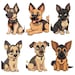 Chibi Style German Shepherd Clipart 30 High Qualityjpg Digital Paper ...