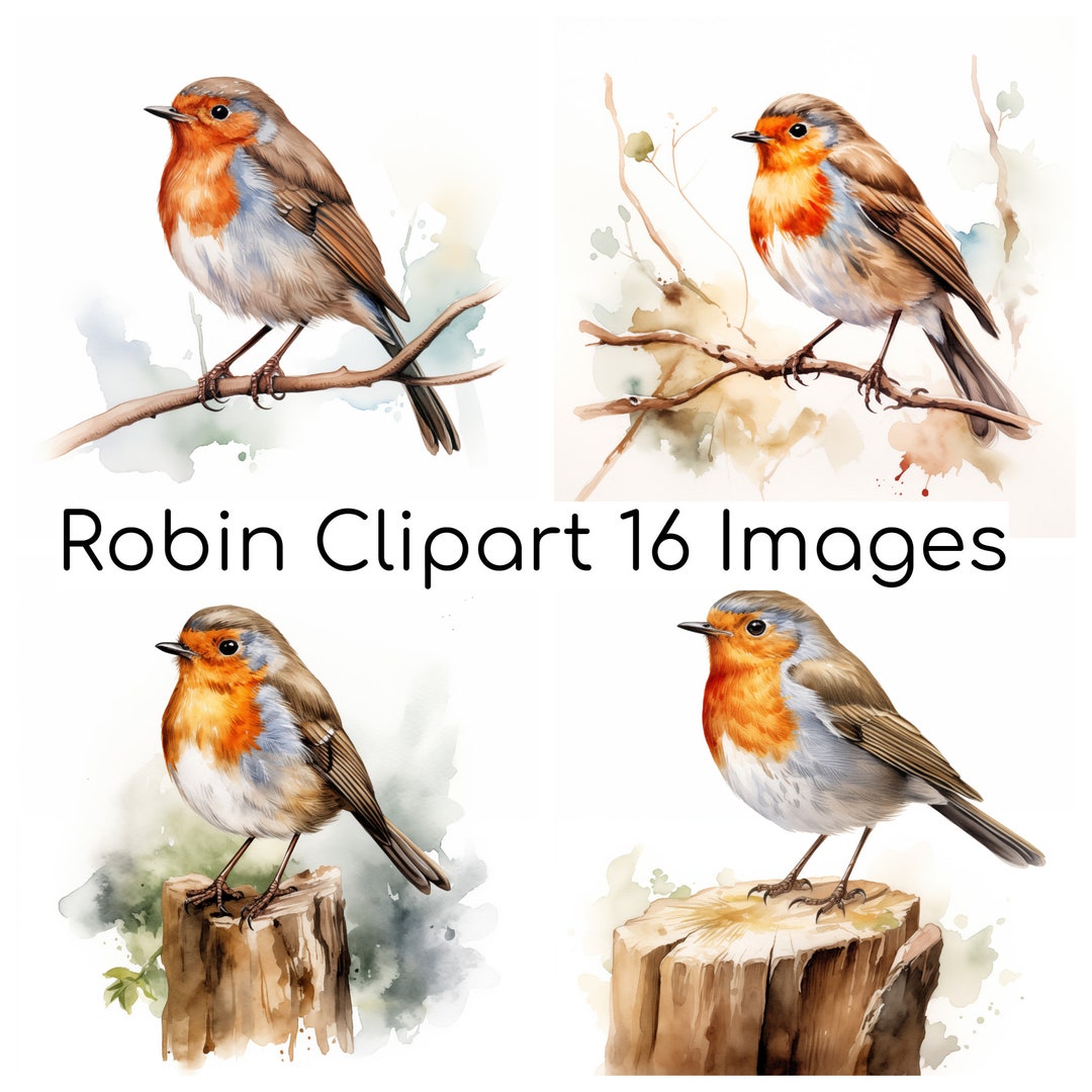 16 High Quality Robin Clipart Images - Digital Download for Card Making ...